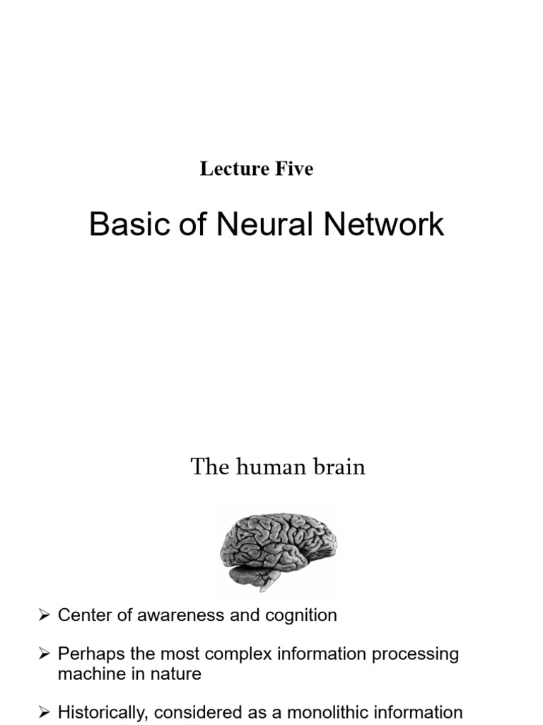 5 Basic Neural Networks | Download Free PDF | Brain | Artificial Neural Network