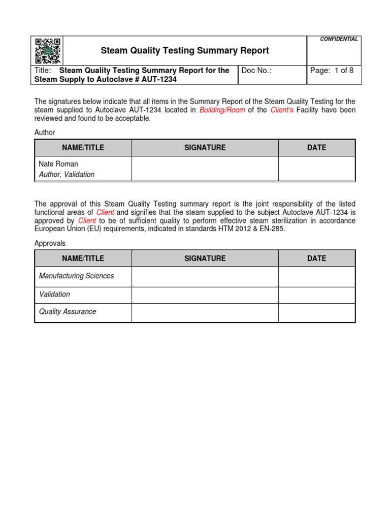 Nathan Roman - Steam Quality Testing Summary Report | PDF | Steam ...