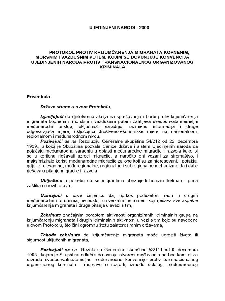 BiH UN Protocol Smuggling | PDF