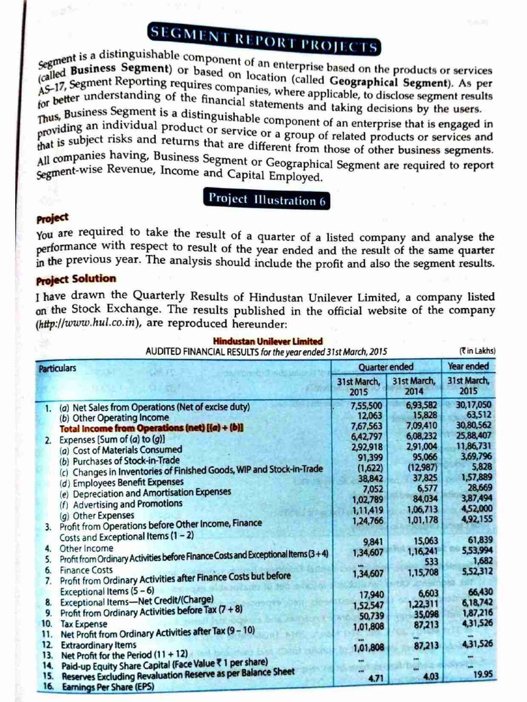 Segment Project Solution Class 12 | PDF