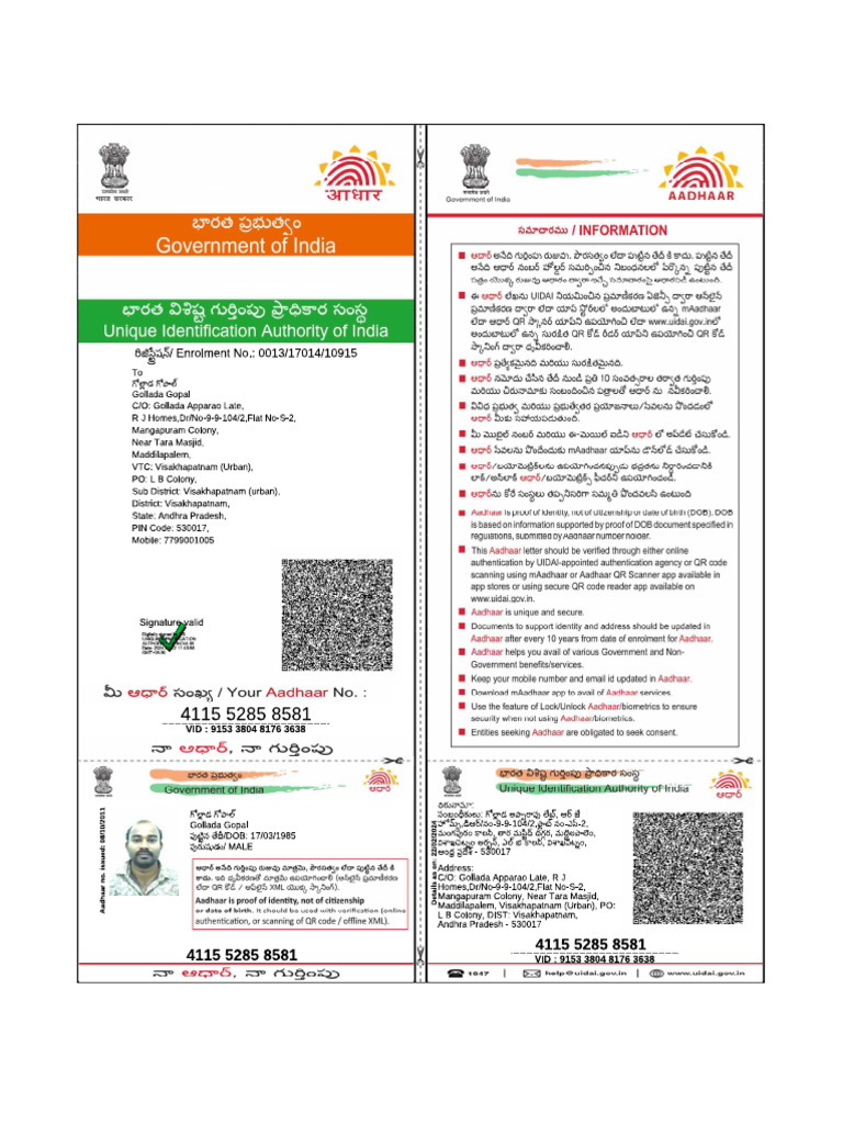Goapl e Aadhaar | PDF