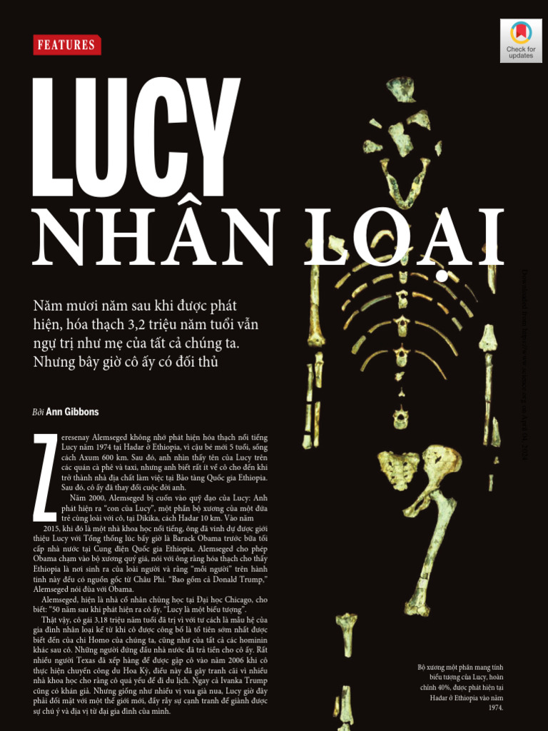 Lucy | PDF