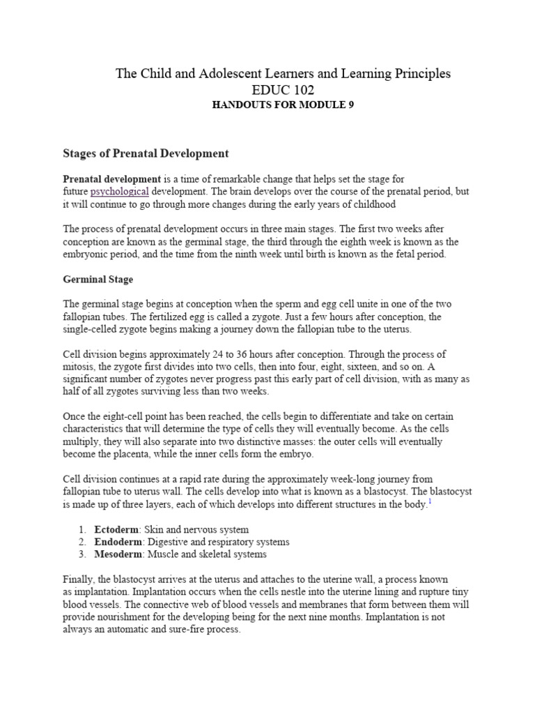 Educ 102 Handouts Module 9 | PDF | Embryo | Prenatal Development