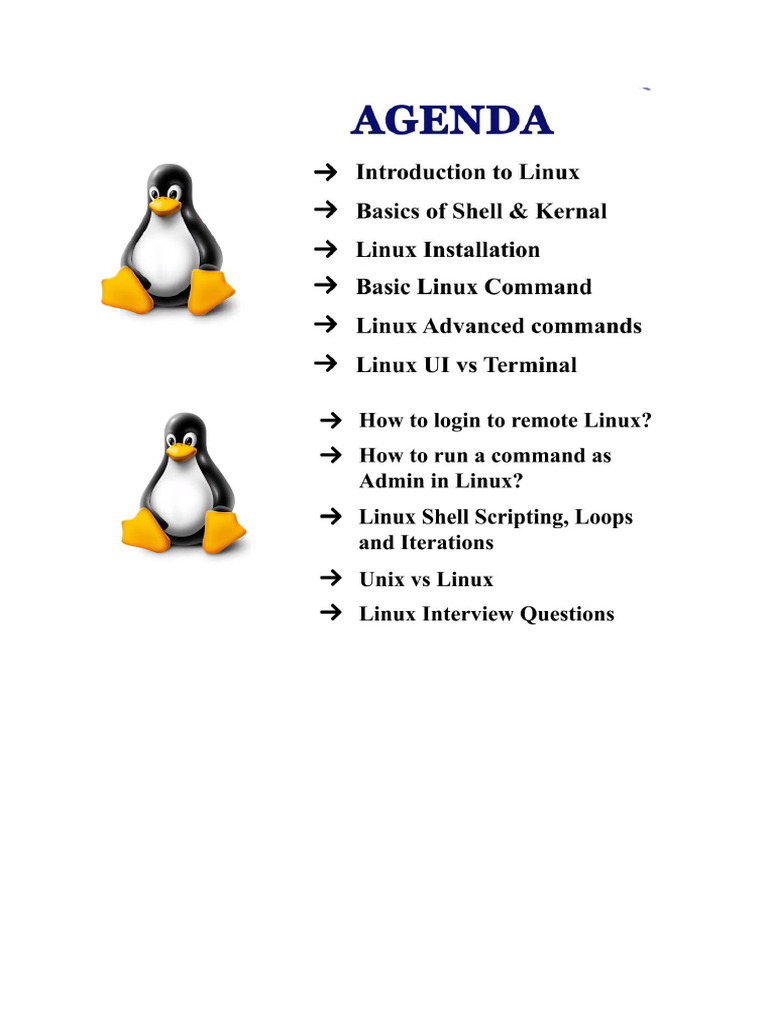 Liinux Basics | Download Free PDF | Installation (Computer Programs) | Superuser
