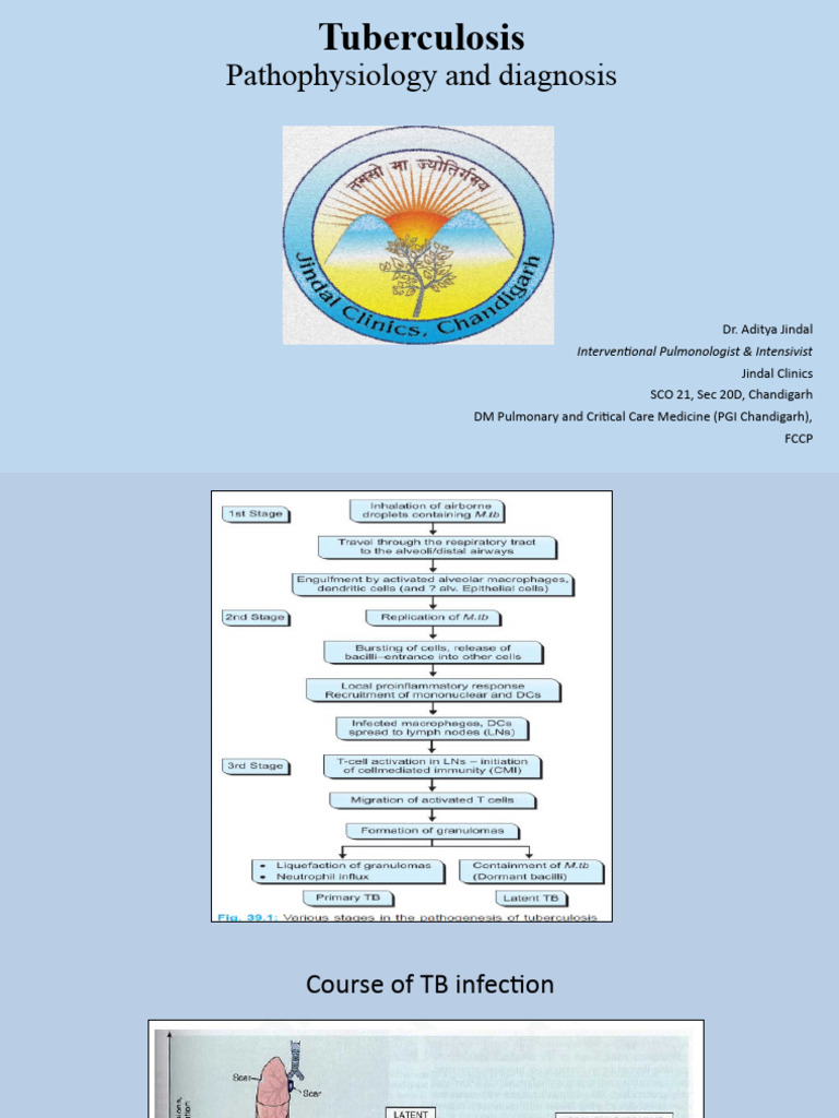Tuberculosis Pathophysiology and Diagnosis | PDF | Tuberculosis ...