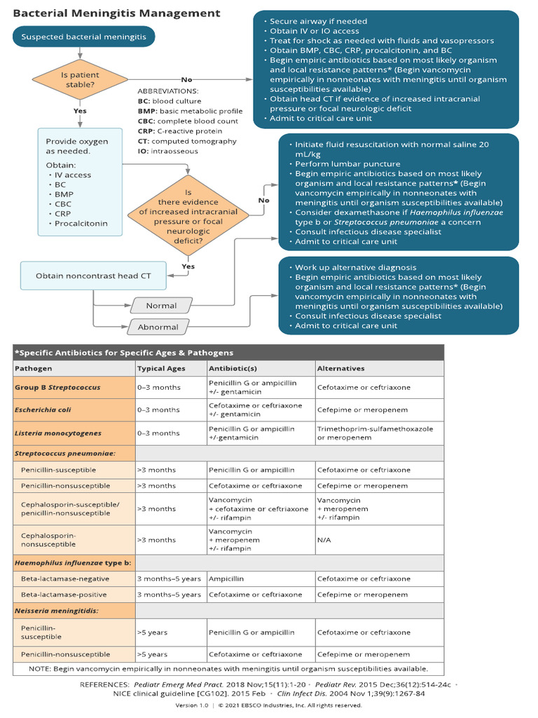 Bacterial Meningitis Protocol Guide | PDF | Meningitis | Clinical Medicine