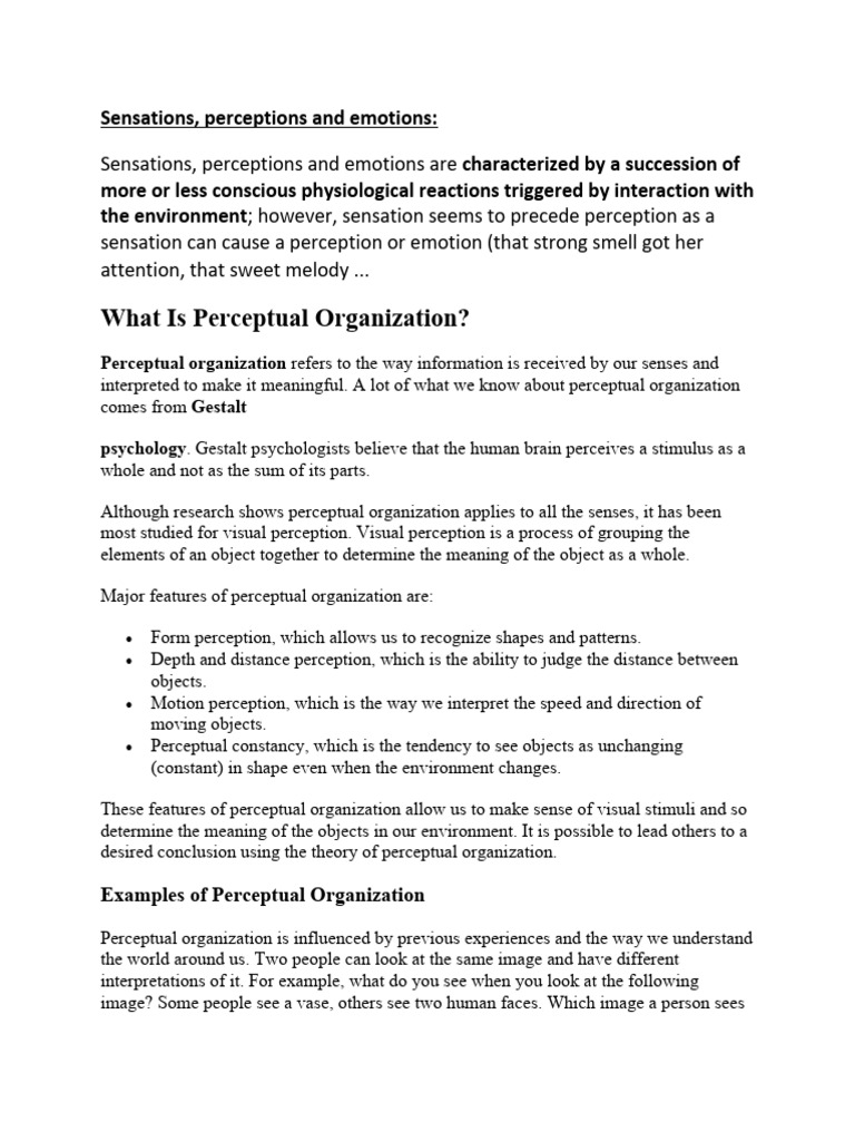 Best Perception Practice | PDF | Perception | Senses