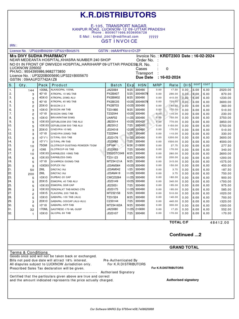Divy Sudha Pharmacy | PDF | Trade | Payments