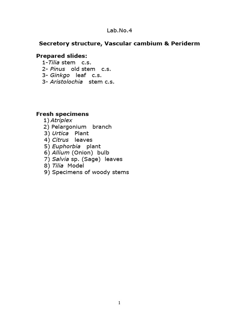 Lab 4 2014 Secretory Structures, Vascular Cambium Periderm | PDF | Plant Stem | Tissue (Biology)