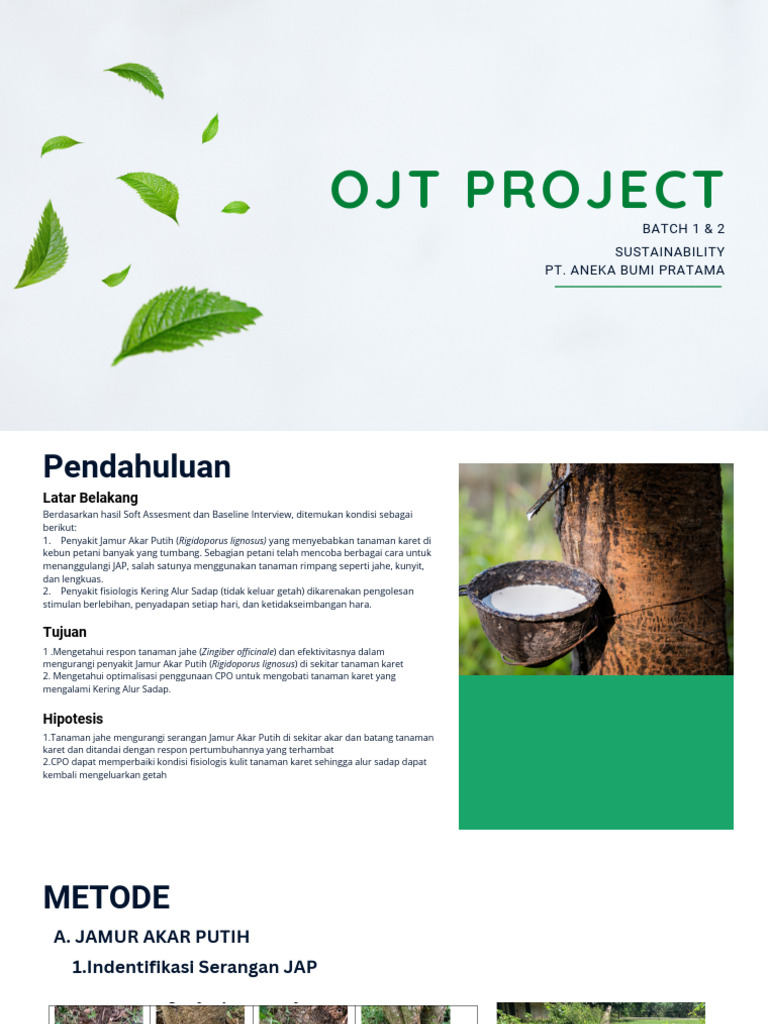 Project Batch 1 & 2 | PDF