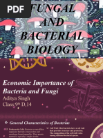 Life Science Grade 11 Term 1 Notes | PDF | Fungus | Algae