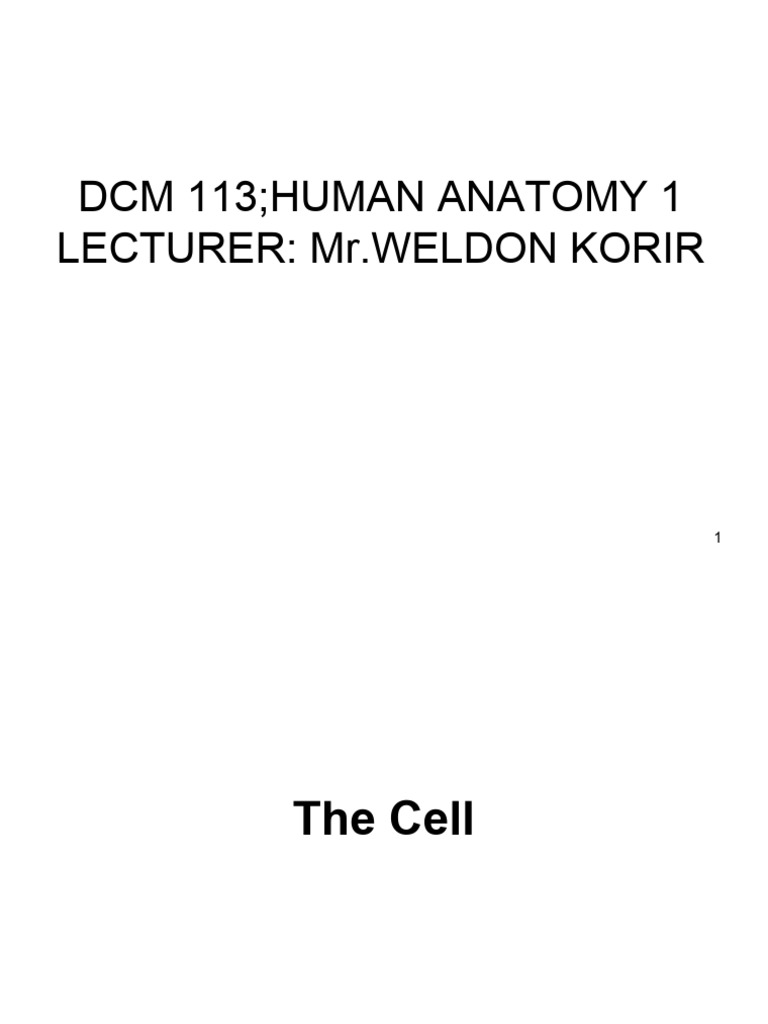 LECTURE 3. Cell STRUCTURE-1 | PDF | Endoplasmic Reticulum | Cell (Biology)