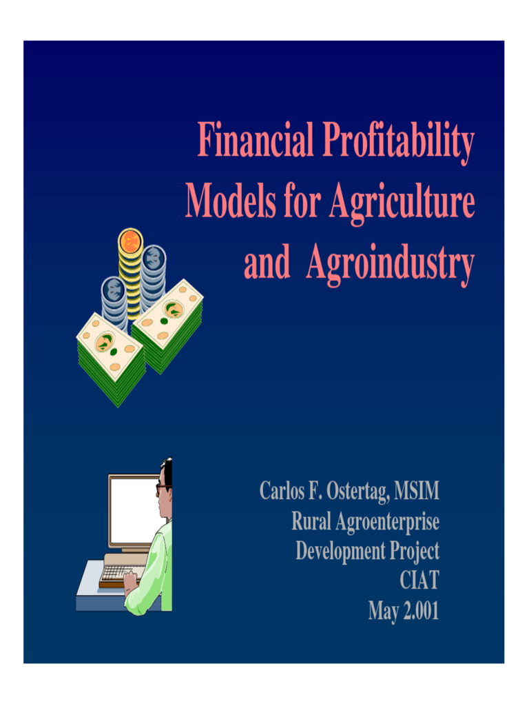 financial_profitability_models | Download Free PDF | Net Present Value ...