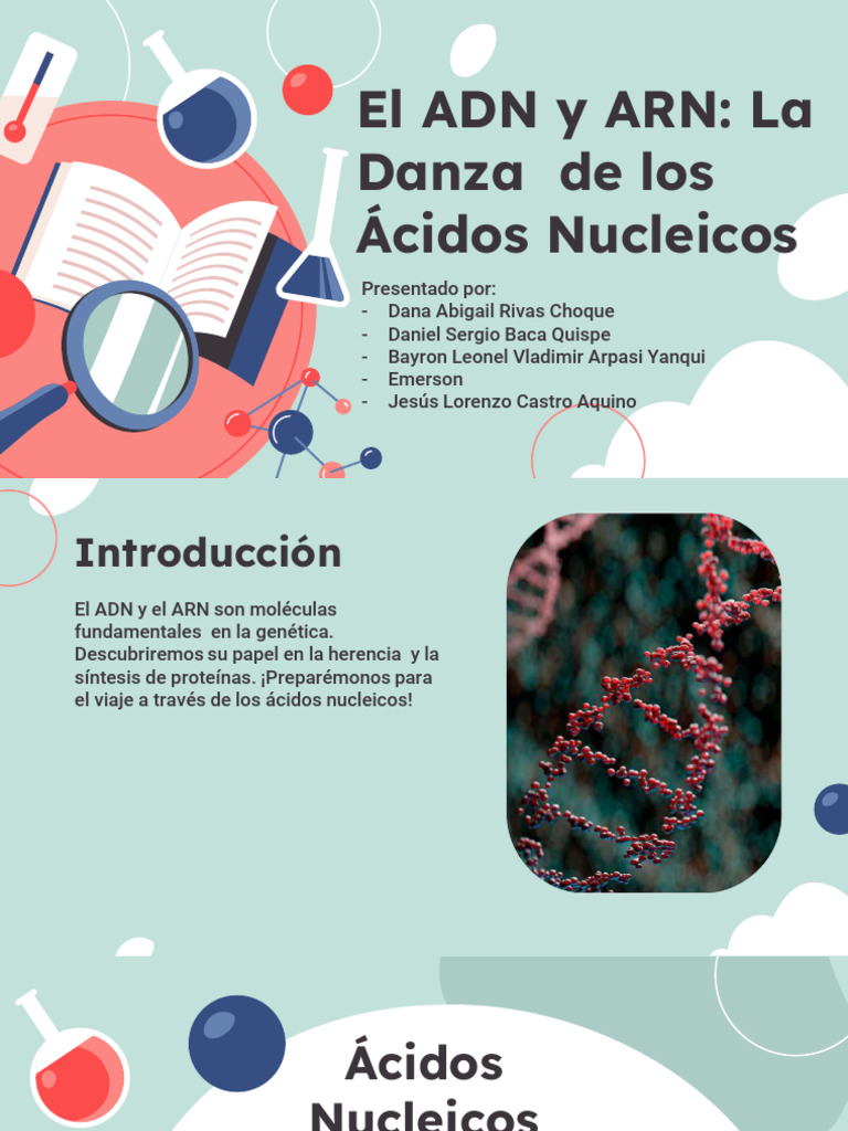 Los Acidos Nucleicos | PDF | Adn | Nucleótidos