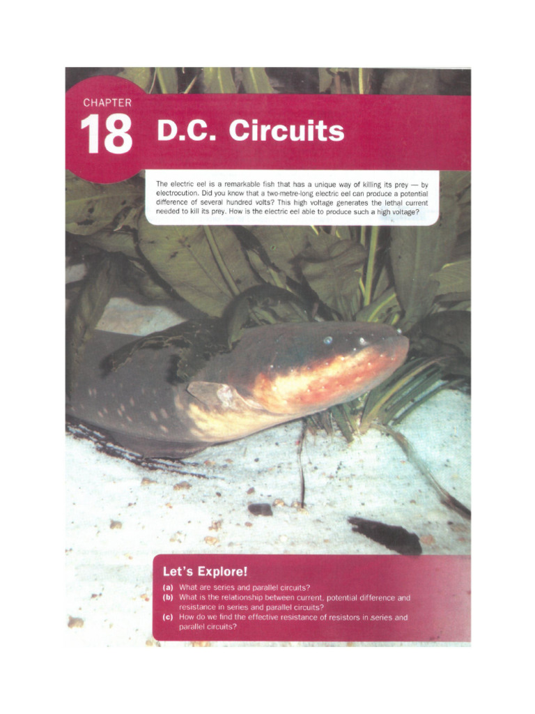 Textbook D.C. Circuits | PDF