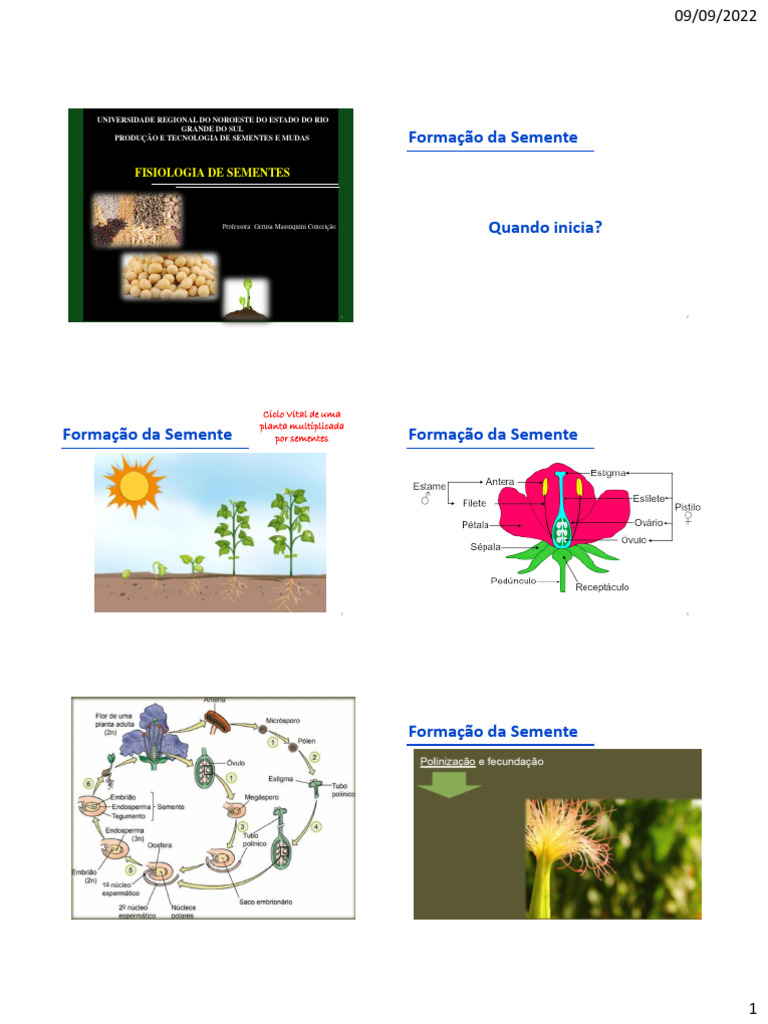 Fisiologia de Sementes | Download grátis PDF | Semente | Reprodução
