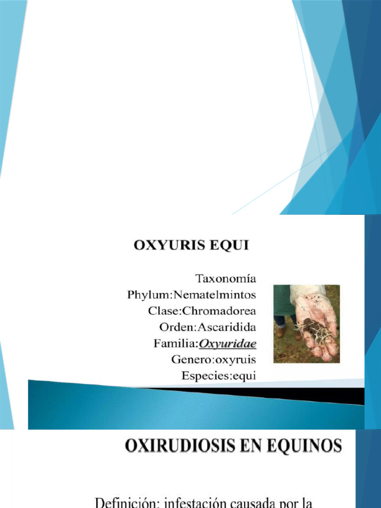 Oxyuris Equi | PDF