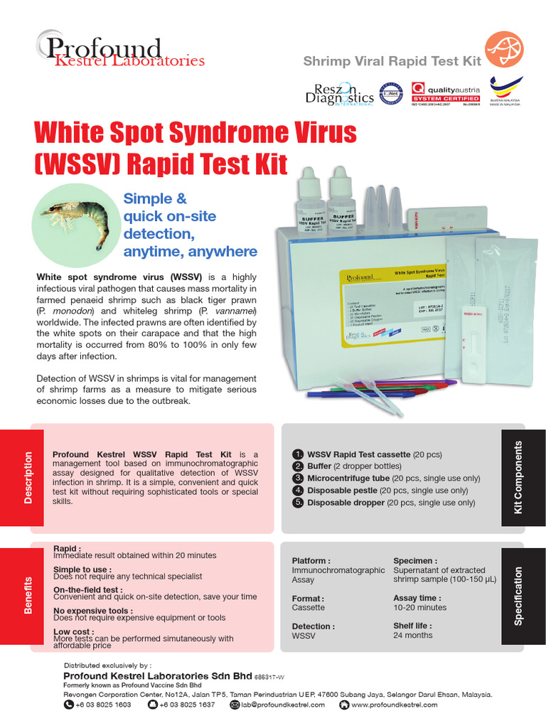 WSSV Rapid Test Kit - Datasheet - Eng | PDF | Infection | Clinical Medicine