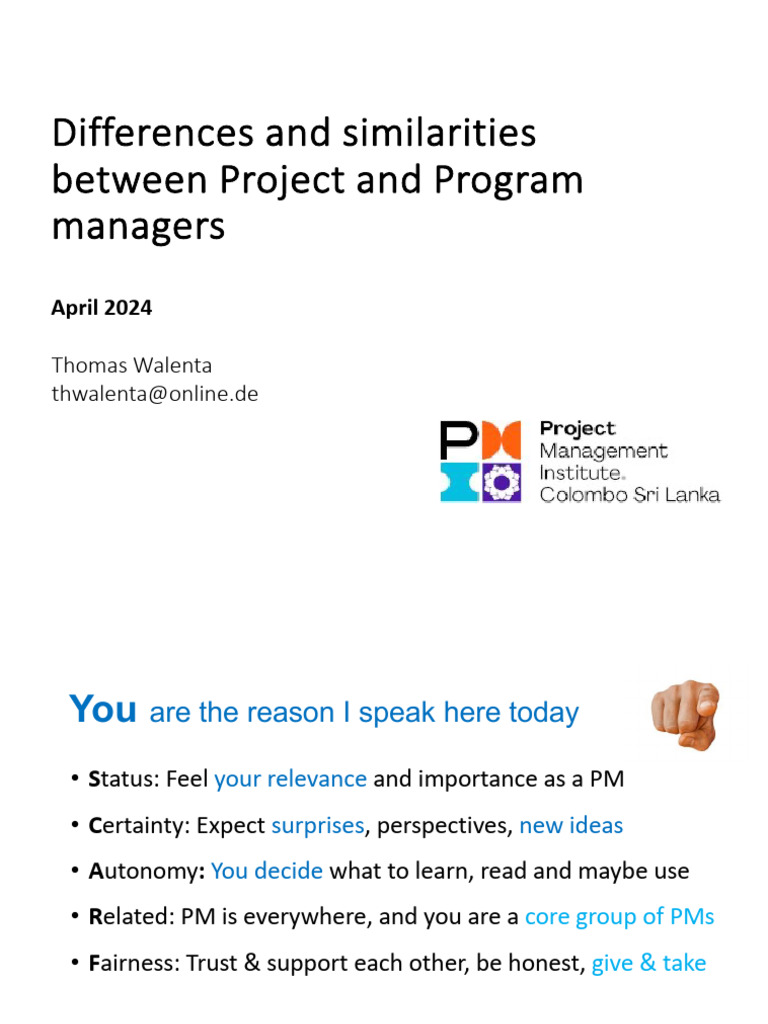 Differences and Similarities Between Projects | PDF | Stakeholder ...