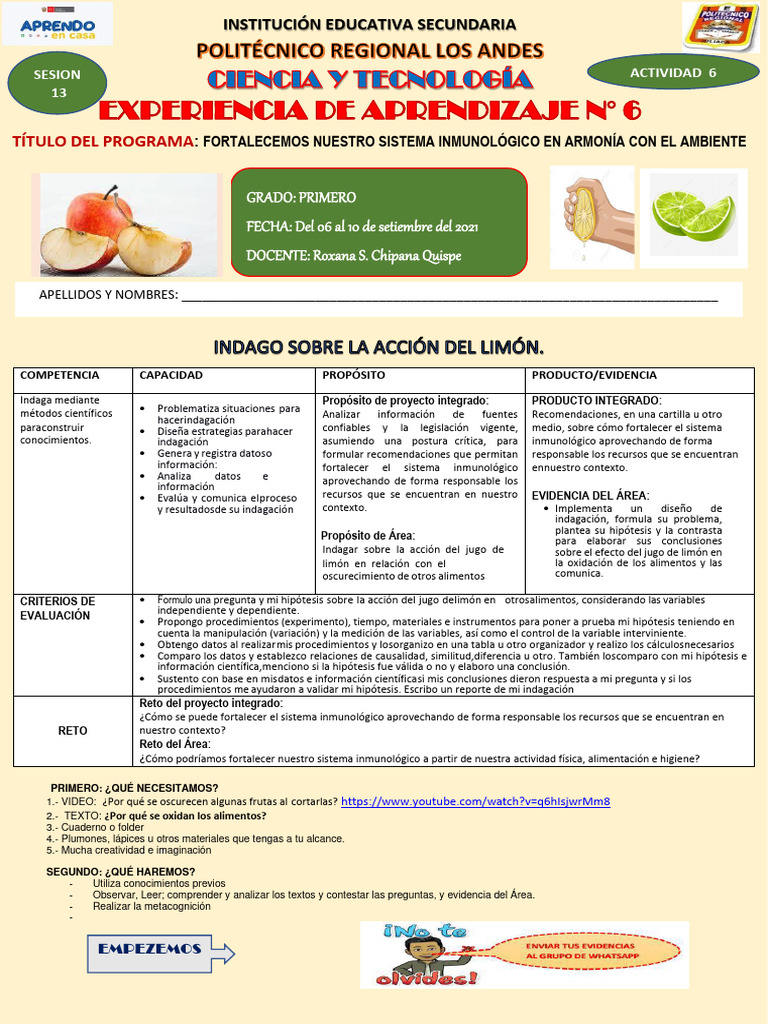 Experiencia de Aprendizaje #6 - Actividad 6 - Sesión 16 | PDF | Antioxidante | Fruta