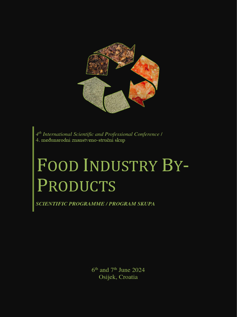 IV. FIB 2024 Programme | PDF