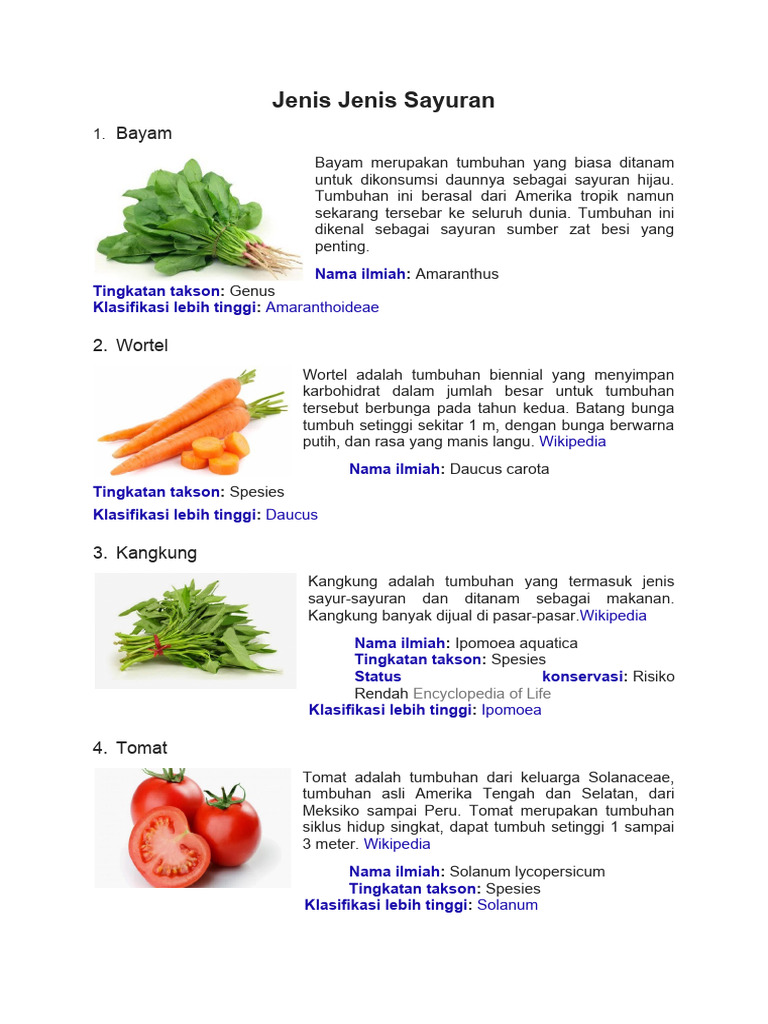 Jenis Jenis Sayuran | PDF