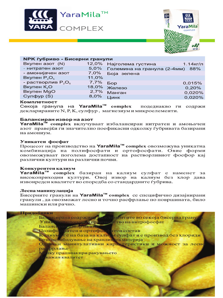 Yara Mila Complex | PDF