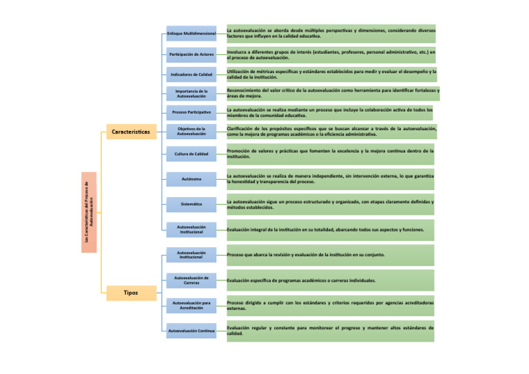 Organizador Grafico | PDF | Evaluación | Institución