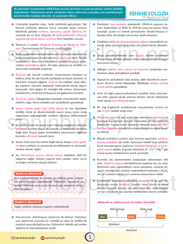 2024 TYT Biyoloji Full Tekrar | PDF