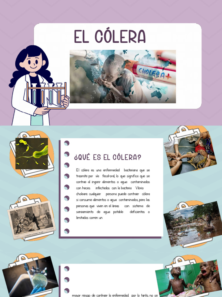 Información esencial sobre el cólera | PDF | Cólera | Lepra
