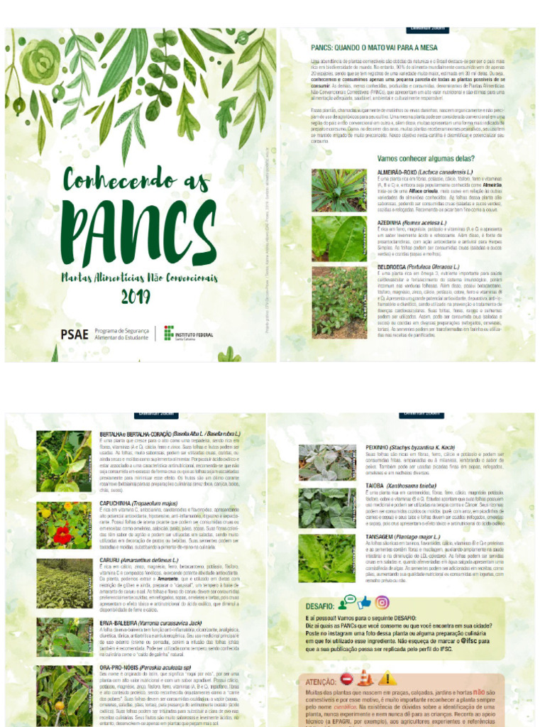 Conhecendo As PANCS | PDF