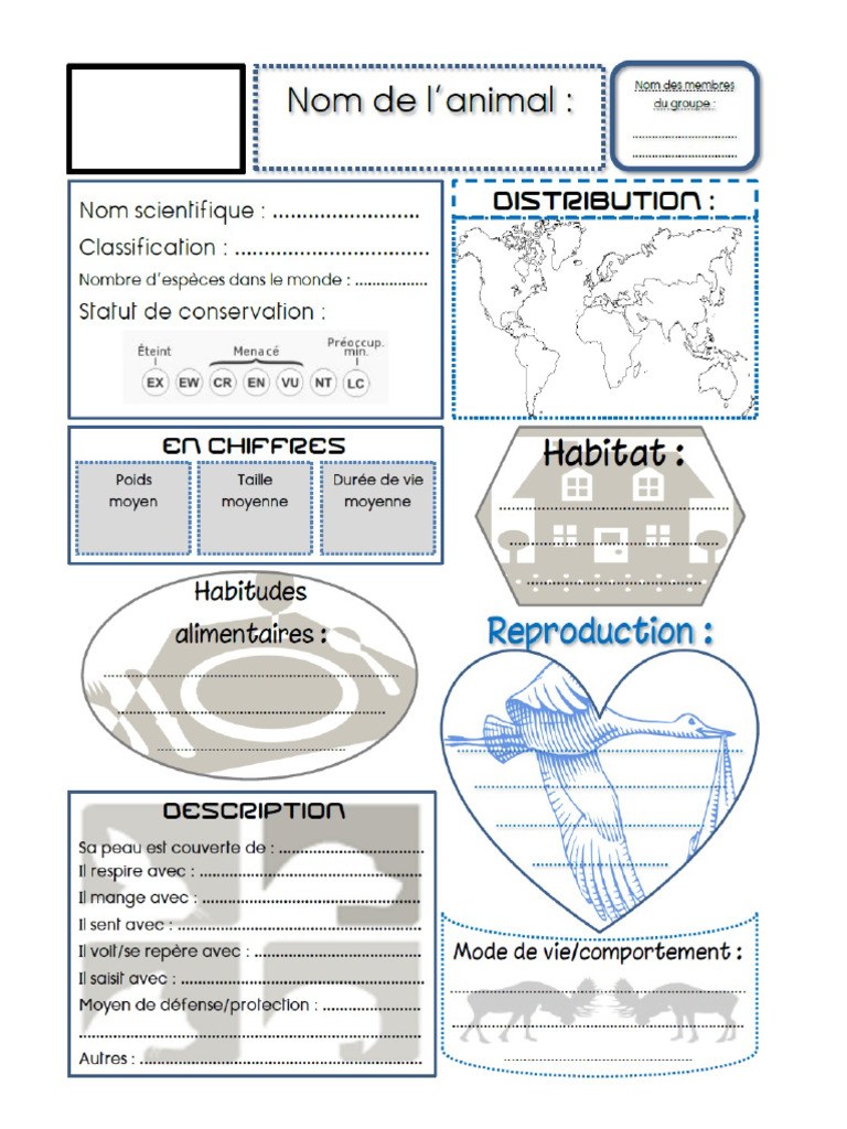 Fiche Téchnique D'un Animal | PDF