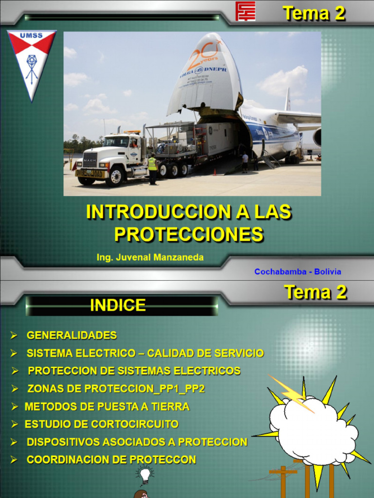 Tema 2 Intro A La Proteccion | PDF