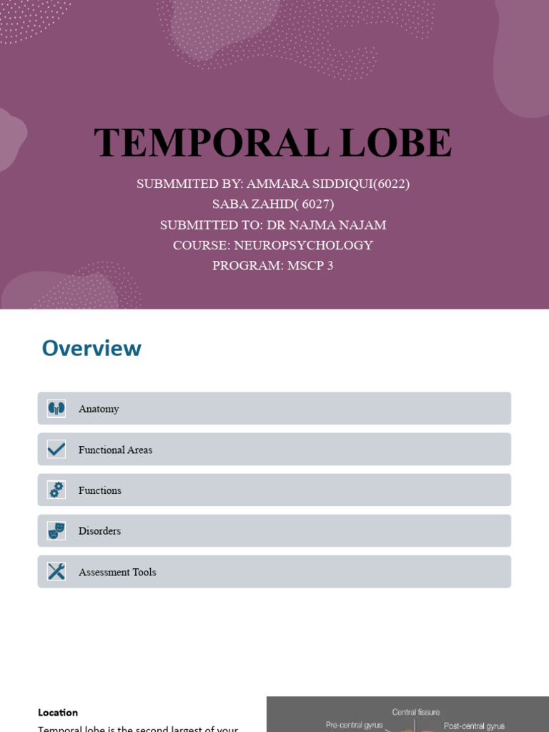 Temporal Lobe | Download Free PDF | Amnesia | Temporal Lobe