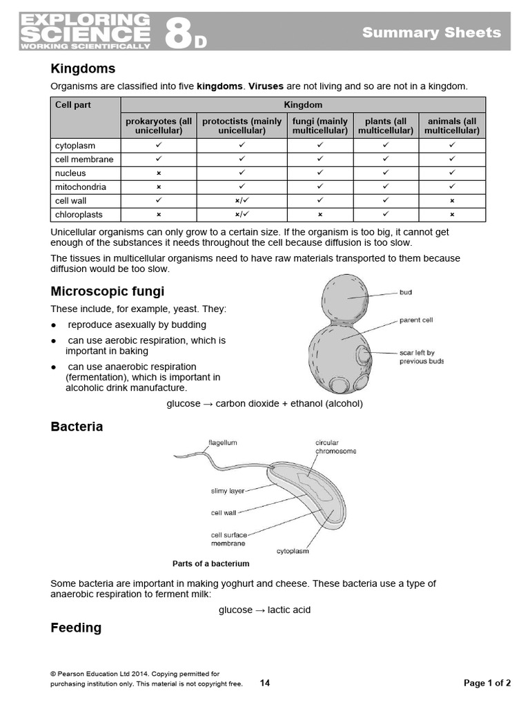 8d Summary Sheets Pdf Cell Biology Bacteria