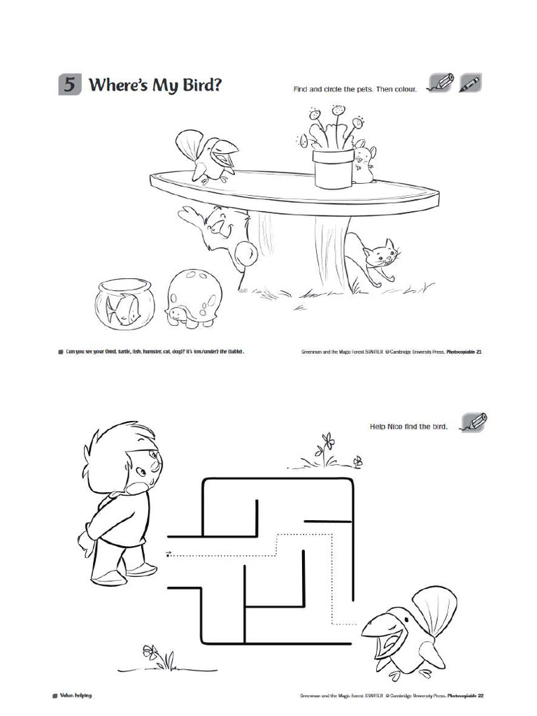 Unit 5 Activities | PDF