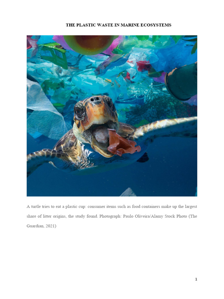 Plastic Pollution Report | PDF | Waste | Recycling