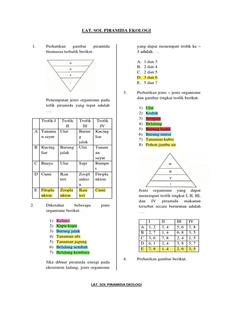 LAT. SOL PIRAMIDA EKOLOGI (1) Jawaban | PDF