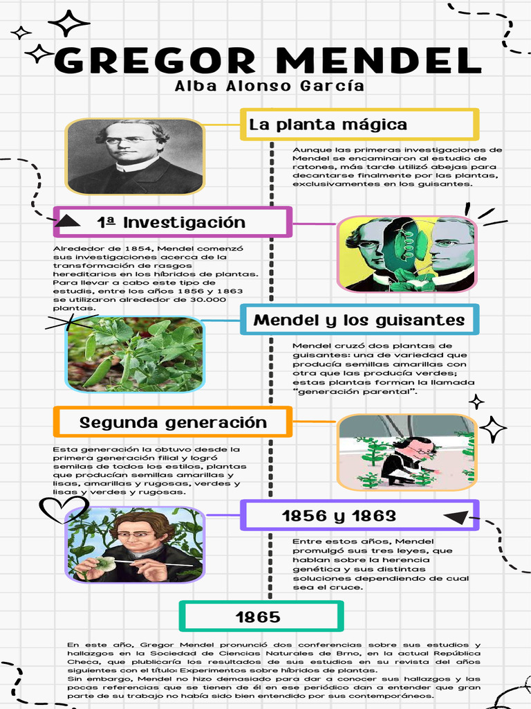 Infografía GREGOR MENDEL | PDF | Biología | Genética
