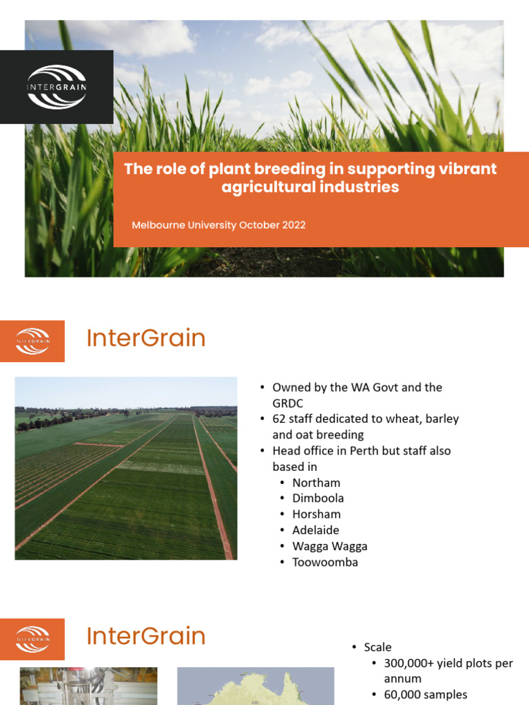 2022 The role of plant breeding in supporting vibrant agricultural industries | PDF | Wheat ...