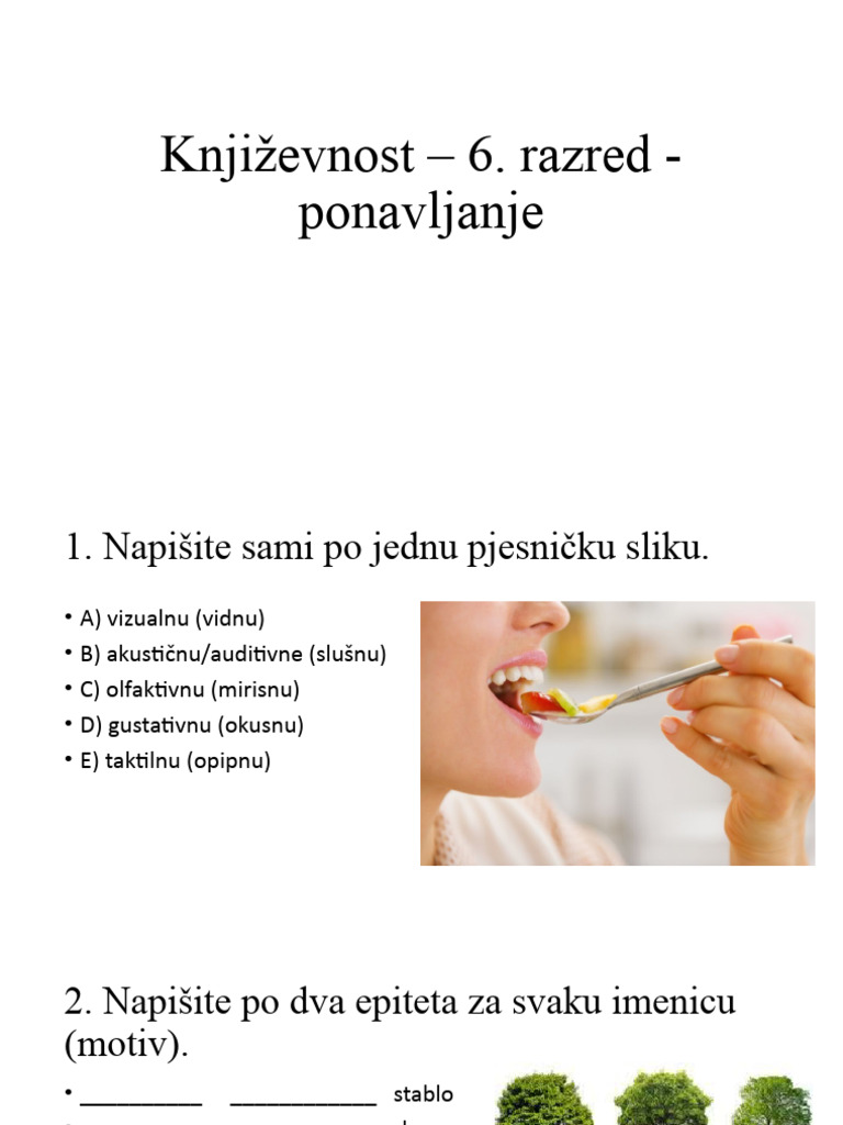 6.r. Knjizevnost - Ponavljanje Za Ispit | PDF
