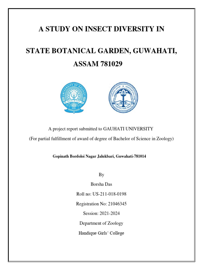 Do Min Mai Insect Project | PDF | Insects | Biodiversity