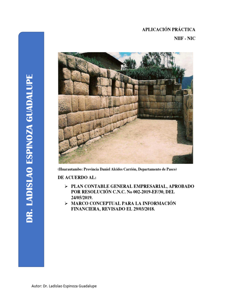 Libro Niif 2023 | PDF | normas internacionales de INFORMACION ...