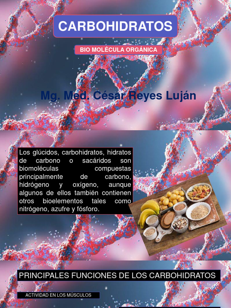 Carbohidratos | PDF | Carbohidratos | Digestión