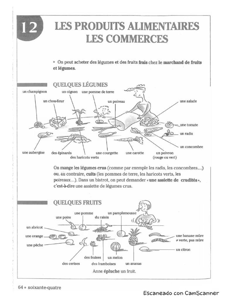 Les Aliments (A1) | PDF