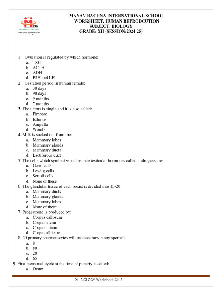 Human Reproduction Worksheet | PDF | Menstrual Cycle | Human Reproduction