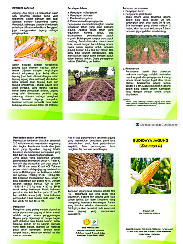 106 - Ismail, S.T.P - Folder Budidaya Jagung | PDF