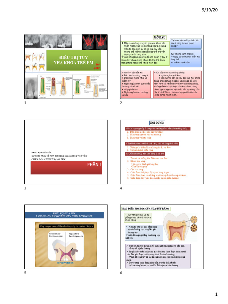 Dieutrituy NKTE rhm5 2020 | PDF