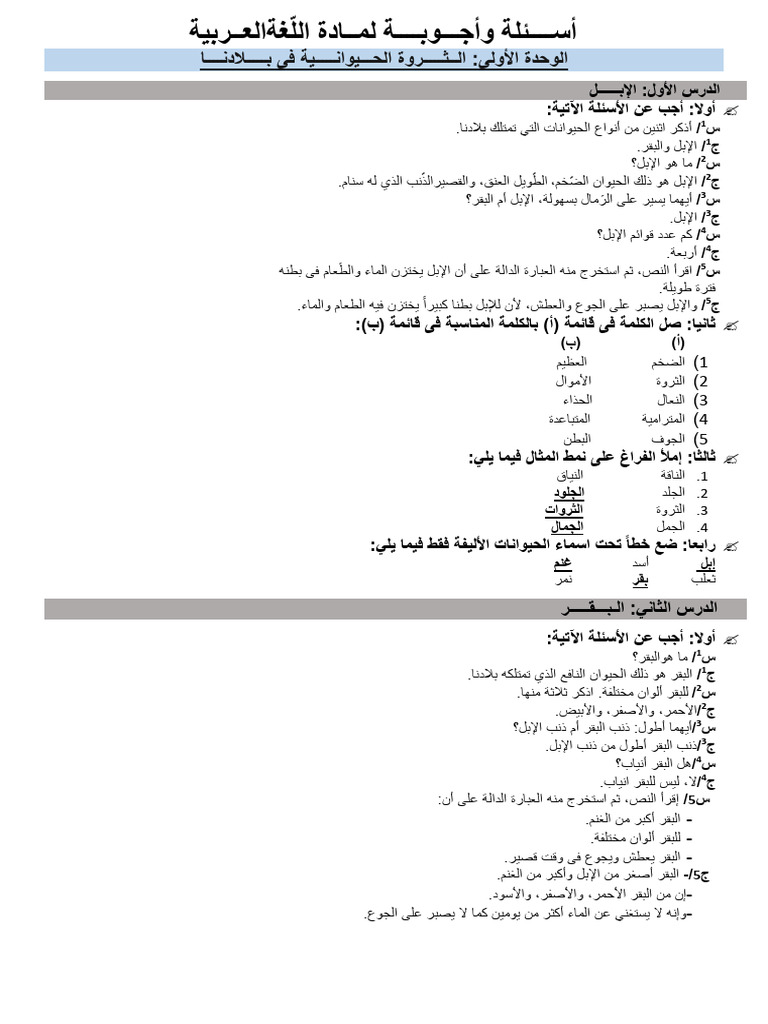 Arabic Revision Last | PDF
