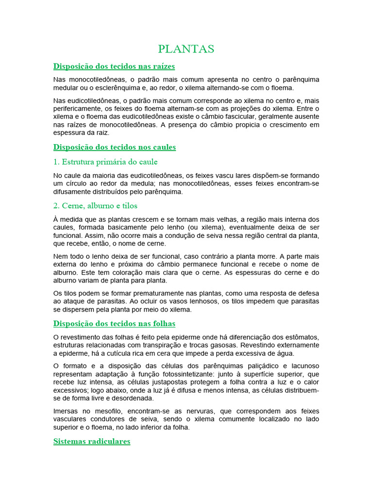 Raíz, Caule, Folha, Sementes e Frutos | PDF | Raiz | Folha